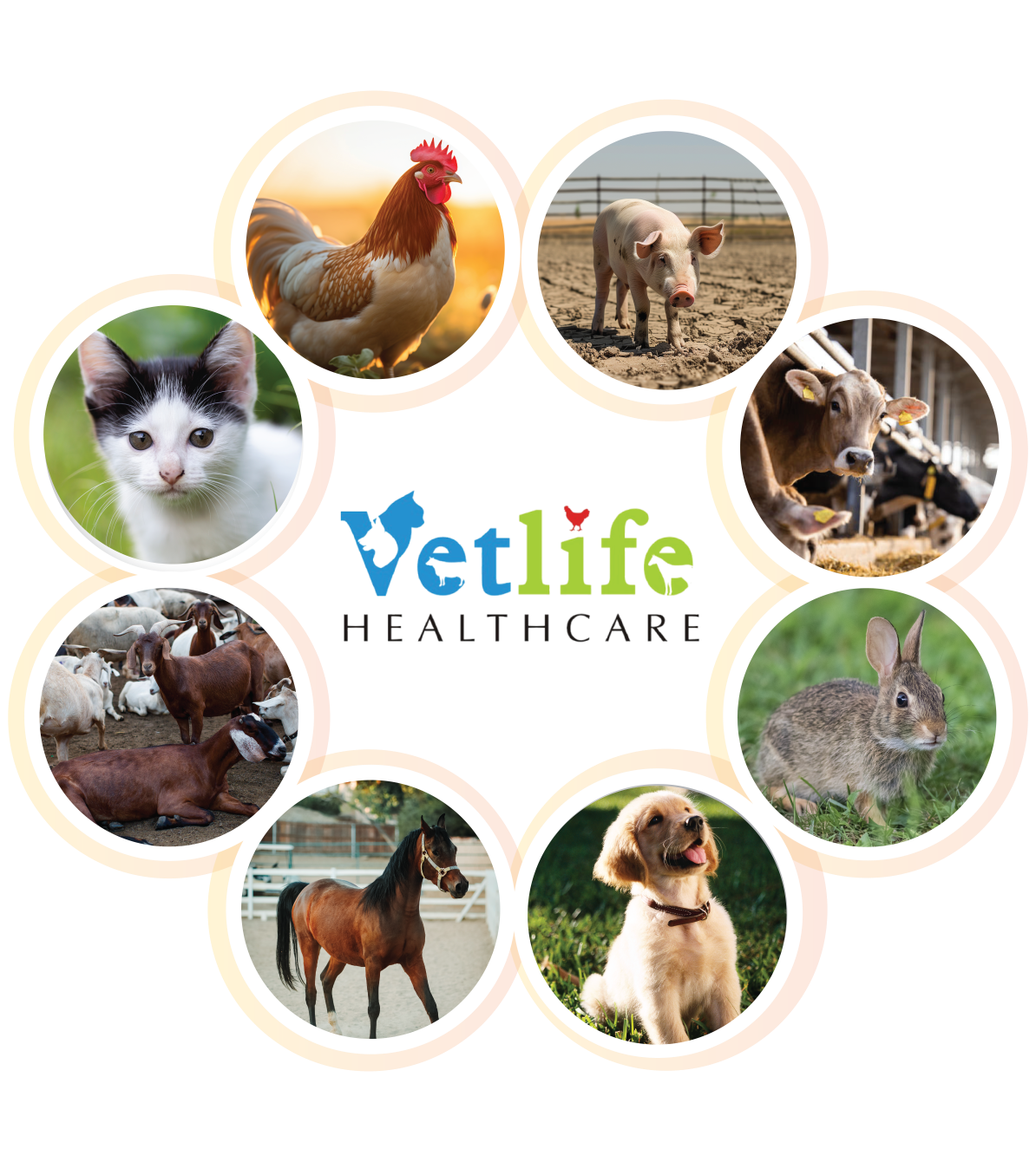 Vetlife